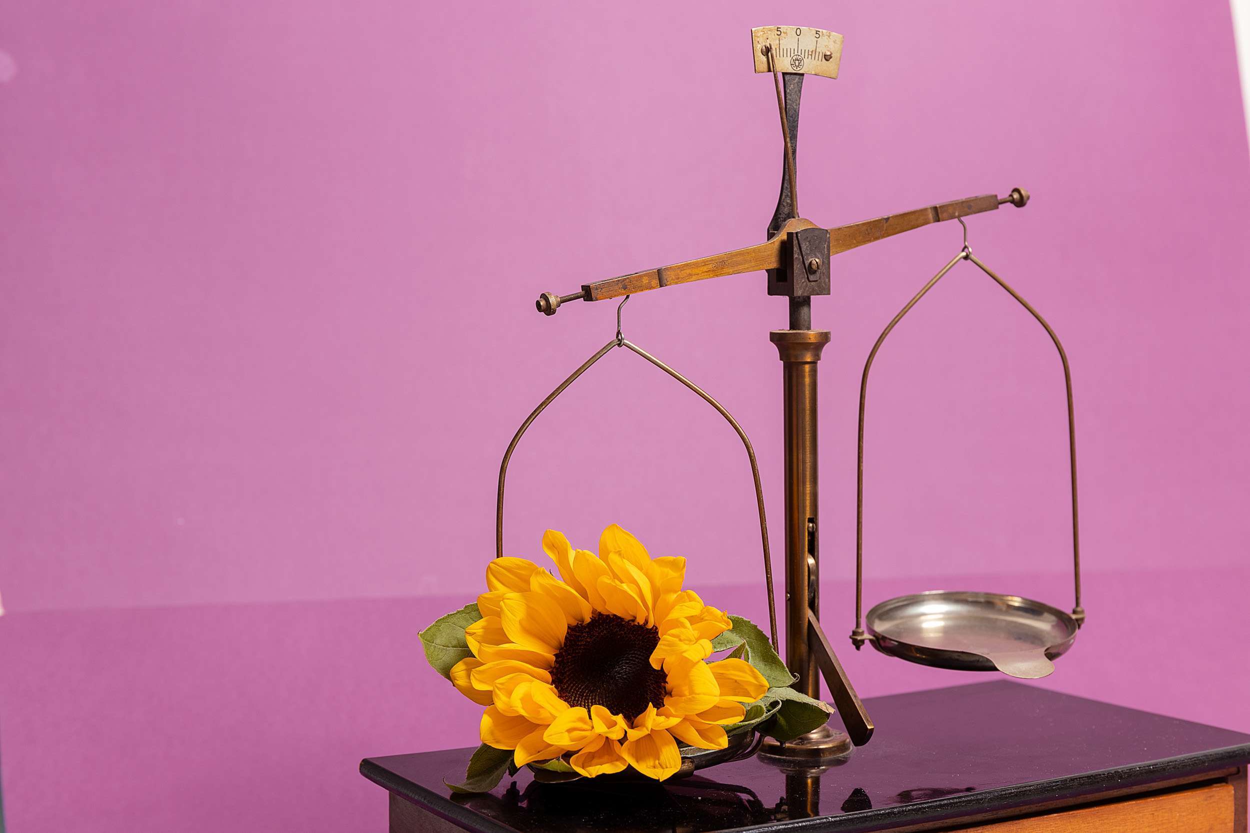 Motivación reforzada en contextos de violencia de género: STC 115/2024 ...